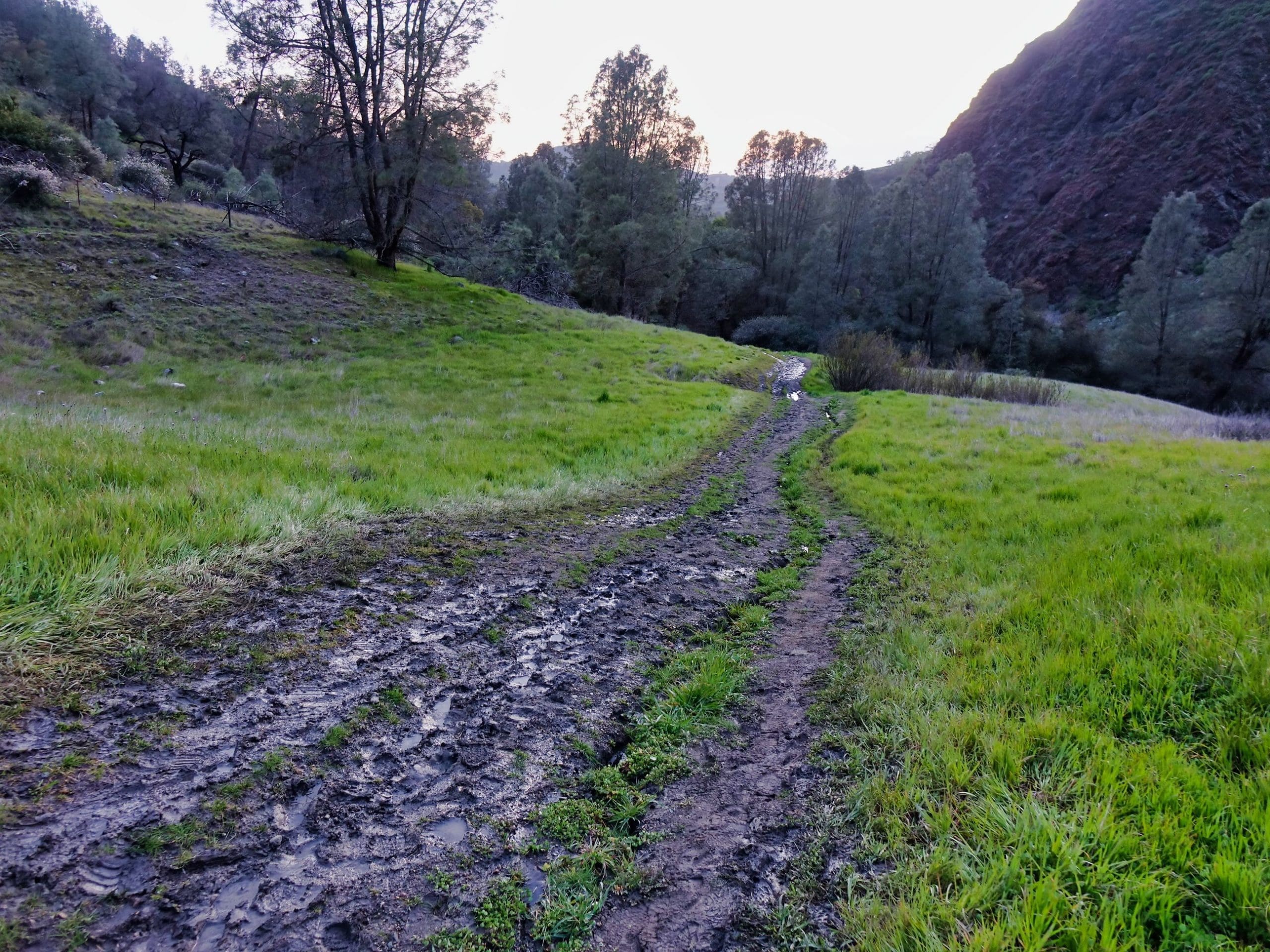 Lover's Loop Wildflower Hike - edhat