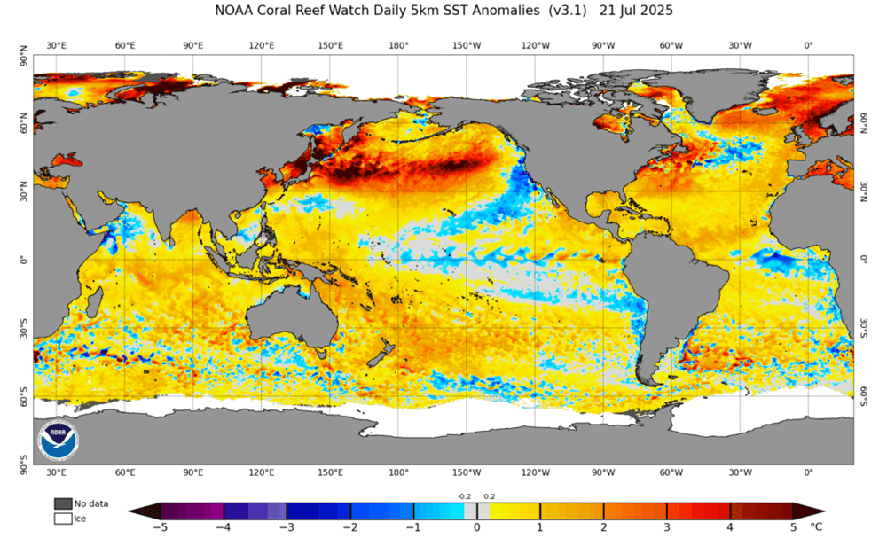 Weather West: Cool Start to NorCal Coastal Summer vs Inland Heat - Plus ...