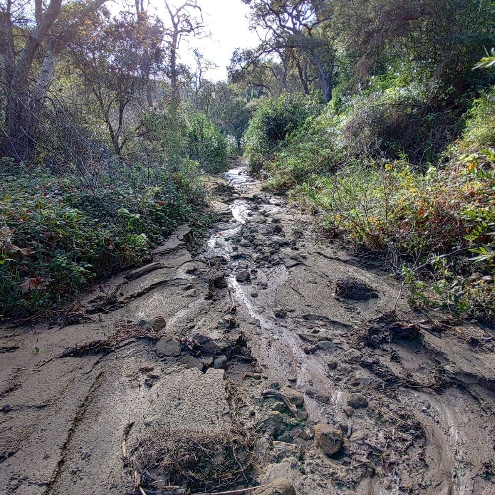Storm Damage Temporarily Closes Arroyo Hondo Preserve, Recovery Efforts ...