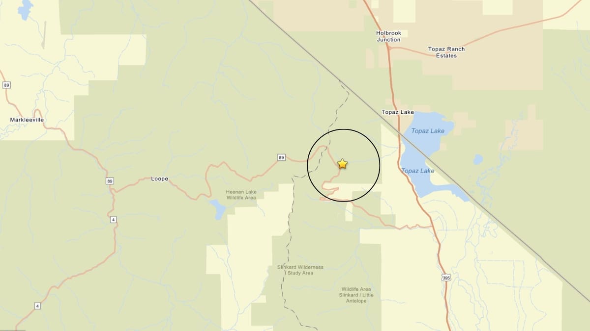 2.8-Magnitude Earthquake Recorded Near Markleeville on Wednesday ...